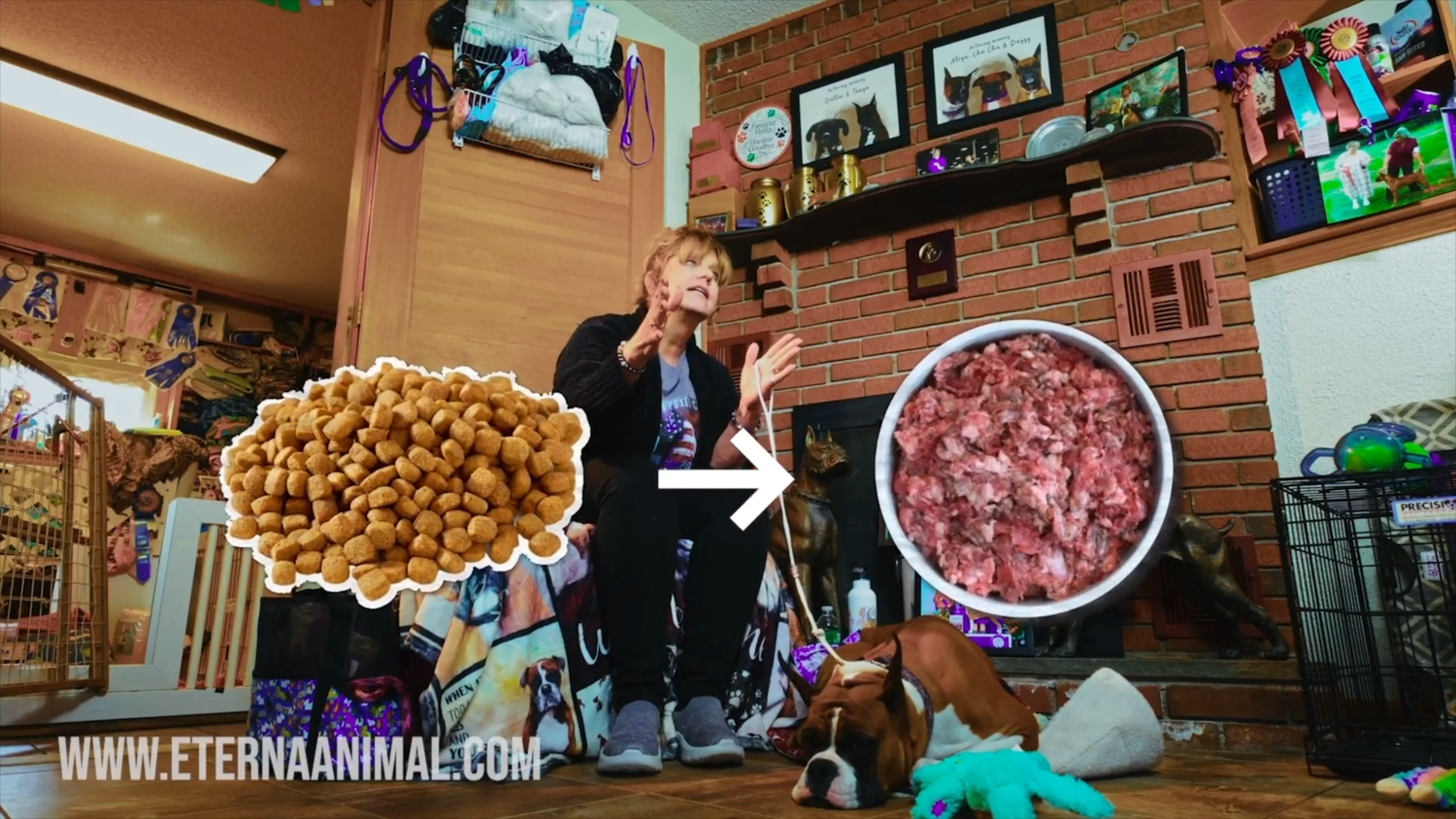 Boxer Raw Feeding Guide | Eterna Animal